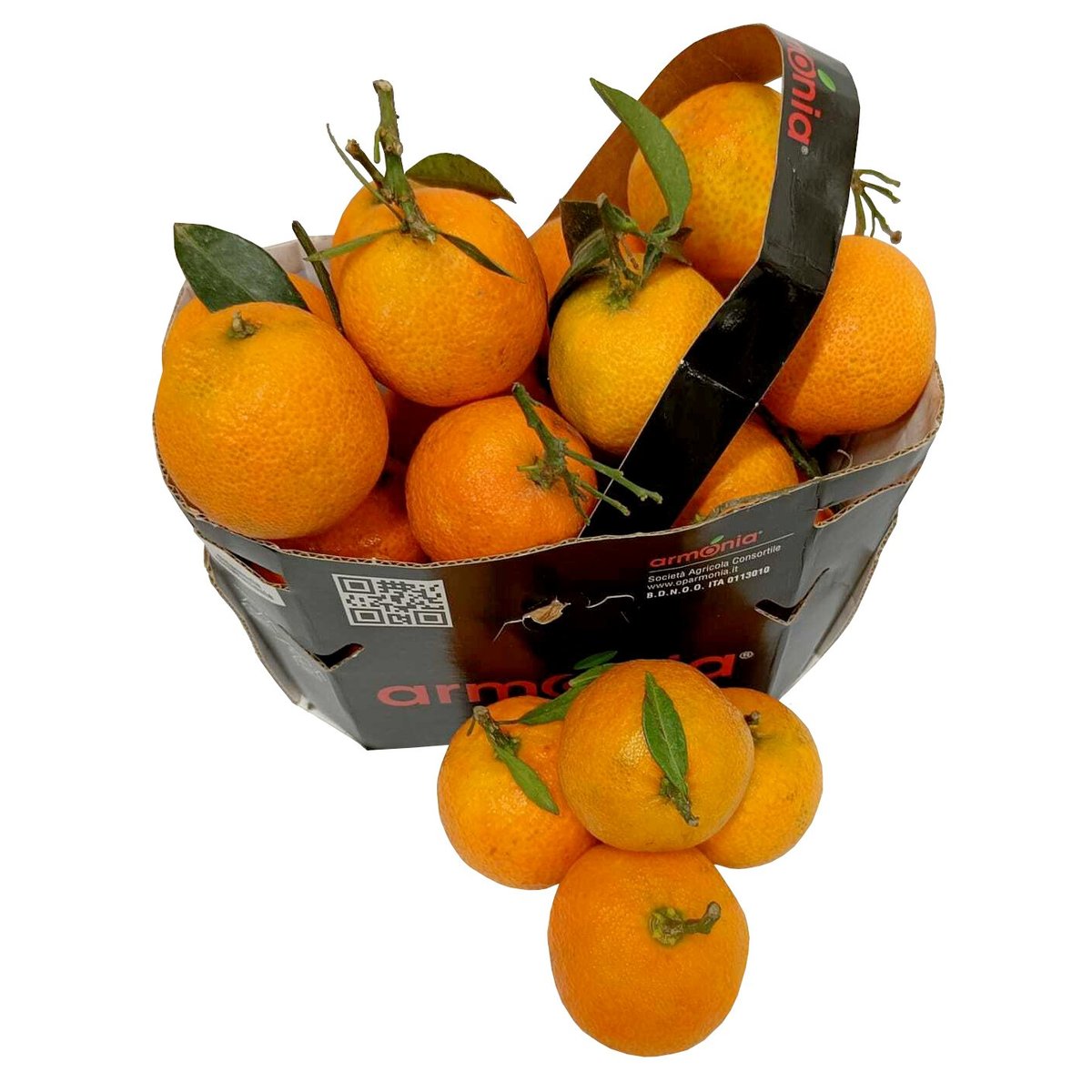 Mandarinky - (odr. Klementina / Marisol), bedýnka v akci | AkcniCeny.cz